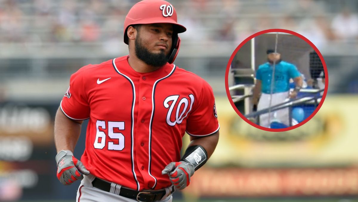 Former MLB Catcher Raudy Read Tries Fighting Fan In Atlantic League ...