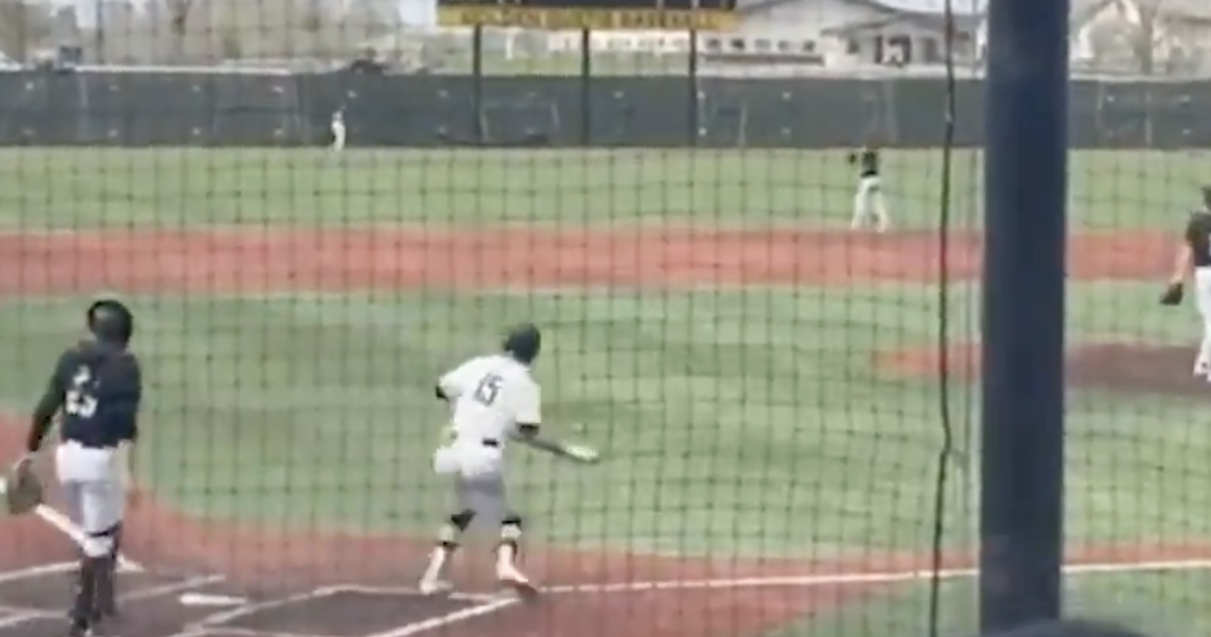 Minnesota Baseball Player Booted From Game After Sending Wild Bat ...