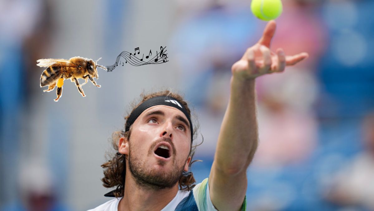 Stefanos Tsitsipas Yells At Woman Making Bee Noises During Tennis Match ...