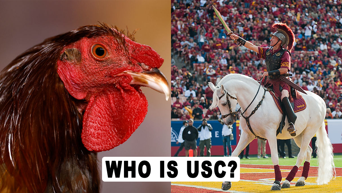 War Of 'USCs' Breaks Out After South Carolina Makes Major Logo Change