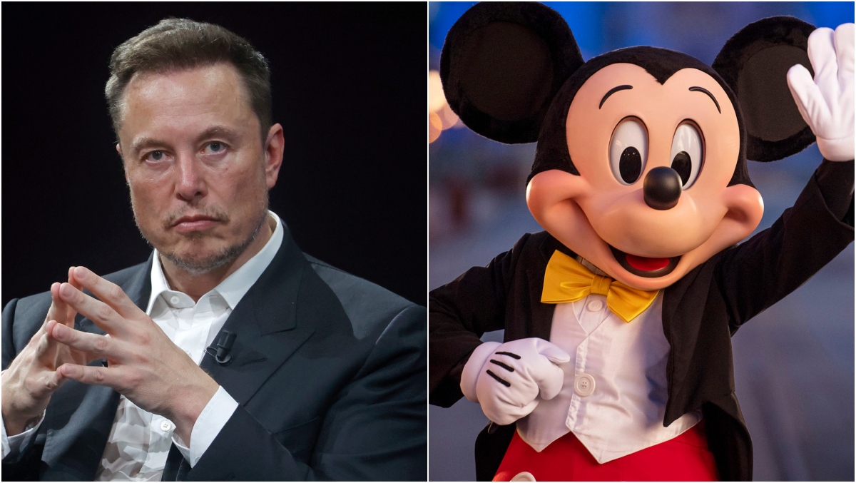 Elon Musk Shares Alleged Leaked Disney Diversity Document