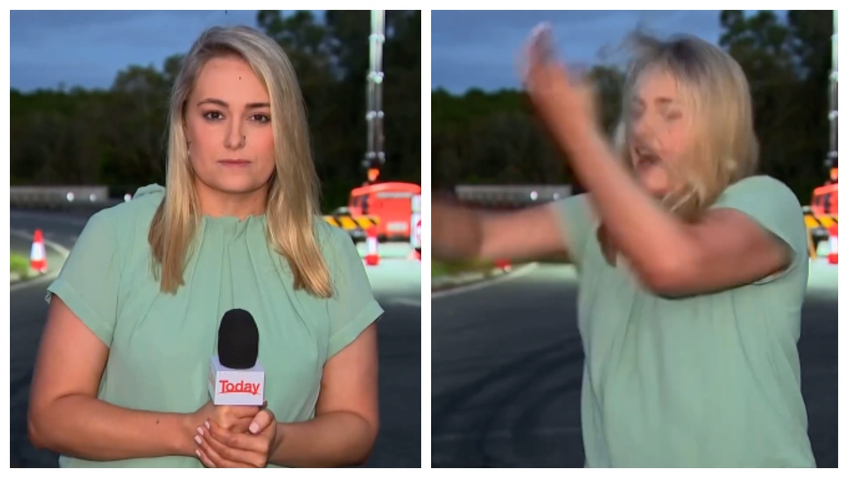 TV Reporter Goes Viral For Violently Slapping Herself In Face During ...