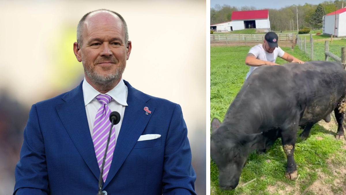 NFL Prospect Cade Stover Is Massaging Cows, And Rich Eisen Can't Get ...