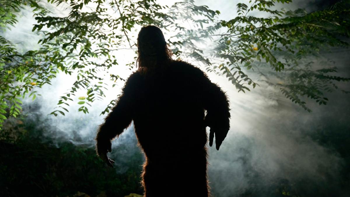Would-Be Sasquatch Hunter Calls Sheriff To Make Sure 'Squatch Hunting ...