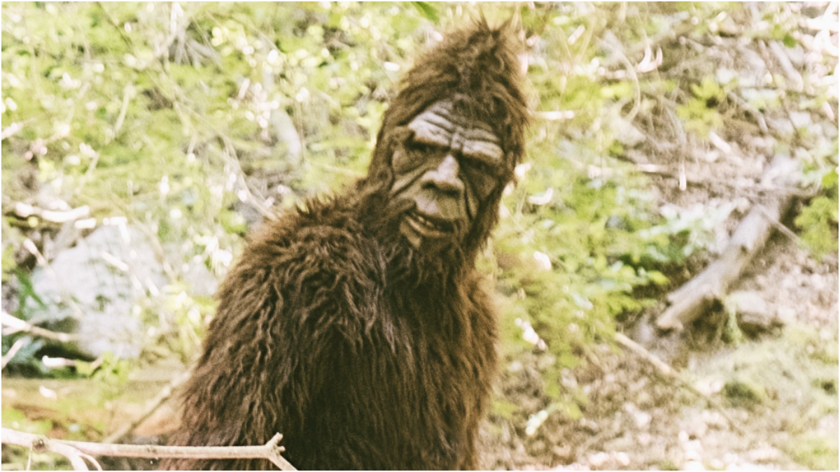 Insane Bigfoot Sighting Story Goes Viral: DETAILS