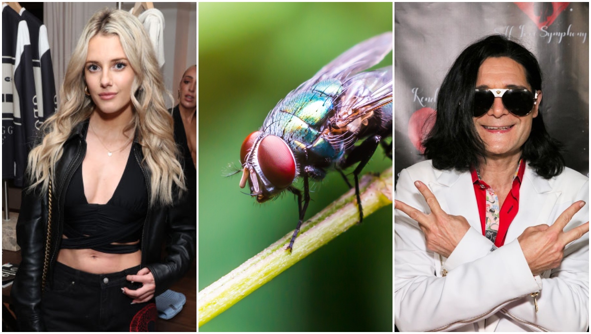 Lindsay Brewer In Monaco, News Anchor Gulps Fly, Corey Feldman Does The ...