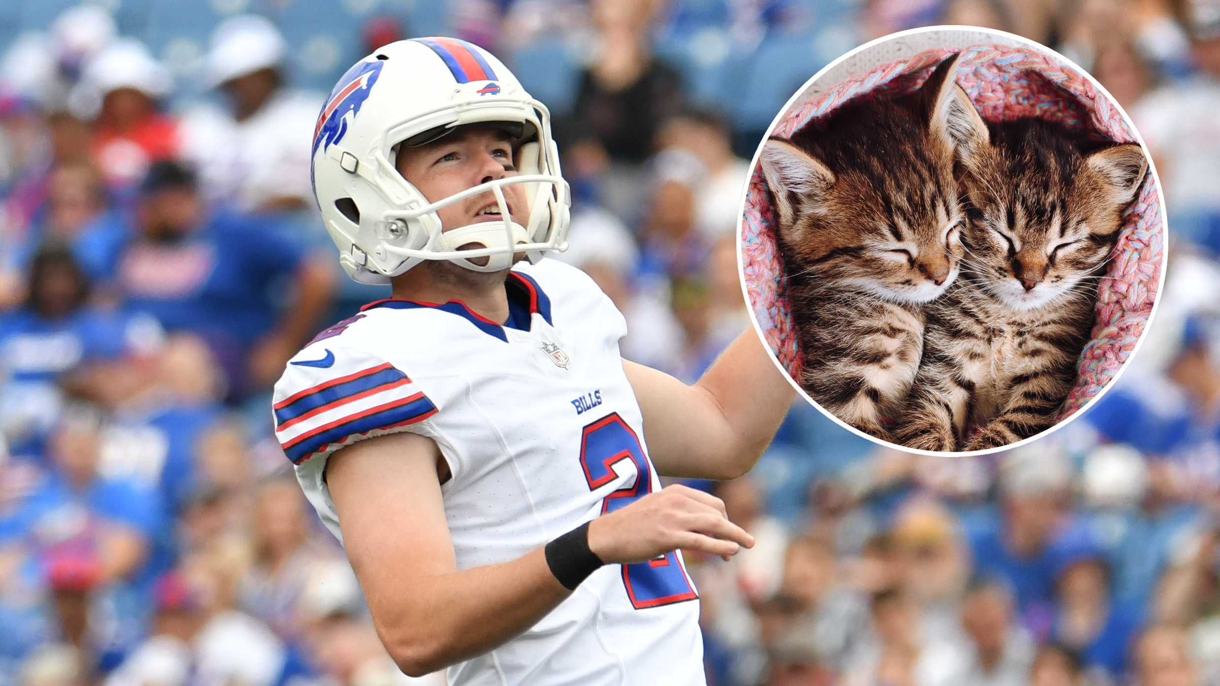 Buffalo Bills Kicker Tyler Bass Raises $400K For Kitten Adoption Center ...