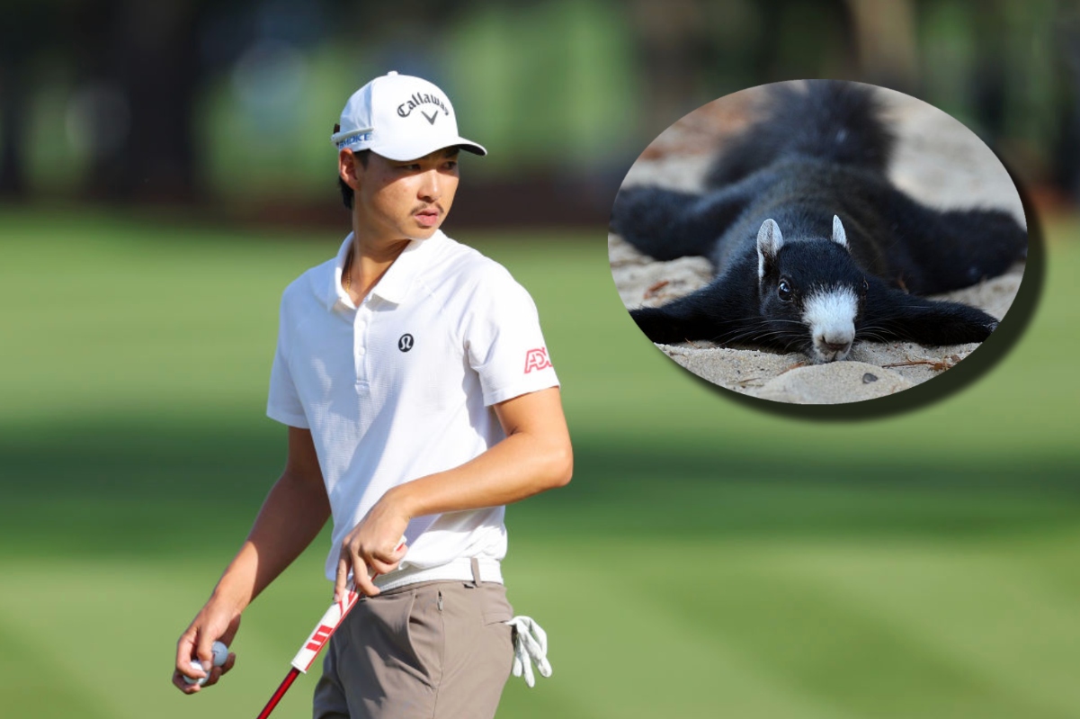 Min Woo Lee Gets Introduced To An Infamous Fox Squirrel At Pinehurst ...
