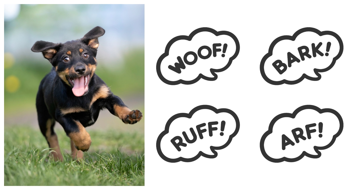 What's In A Dog Bark? Scientists Look To Use Artificial Intelligence To Help Figure It Out | OutKick