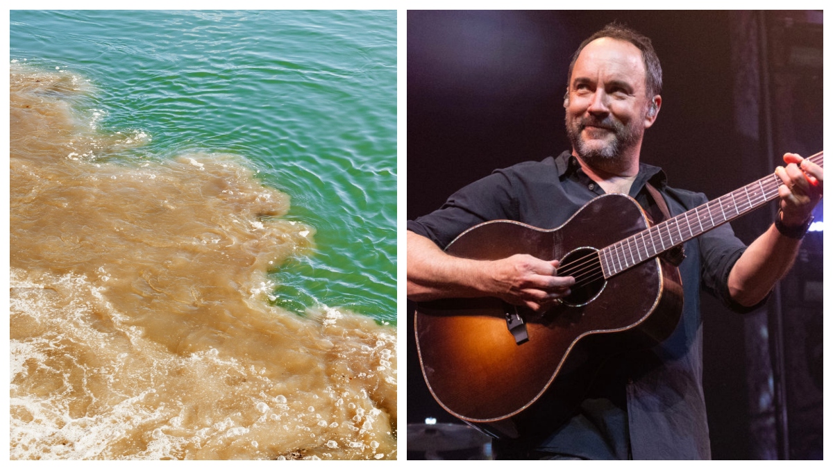 20 Years Ago, Dave Matthews Band Pulled A Poop Stunt Chicago Can't ...