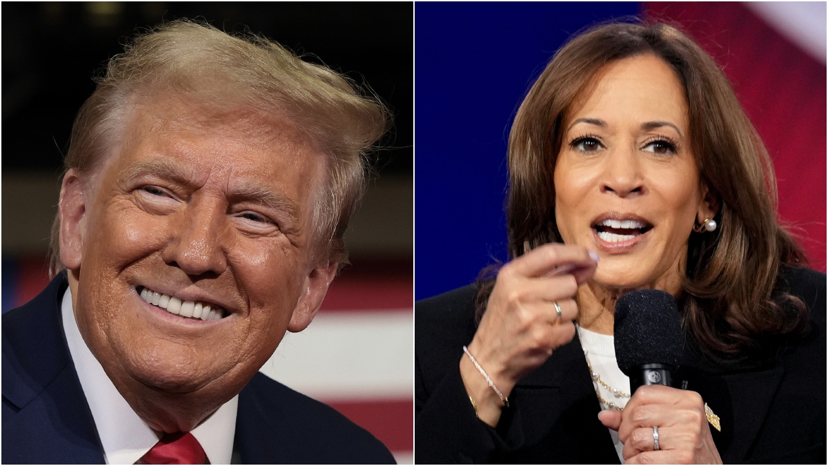 People Reveal Unexpected And Disappointing Election Night Plans: POLL ...