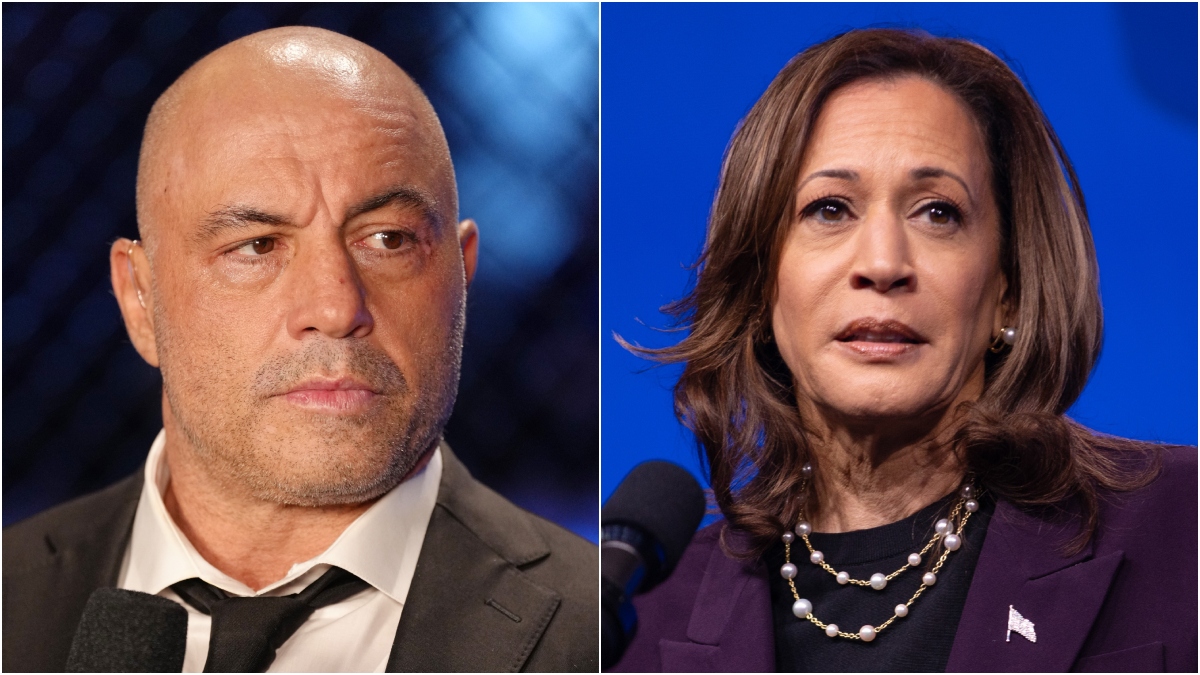 Joe Rogan Tells Blunt Truth About Why Kamala Harris Interview Didn't ...