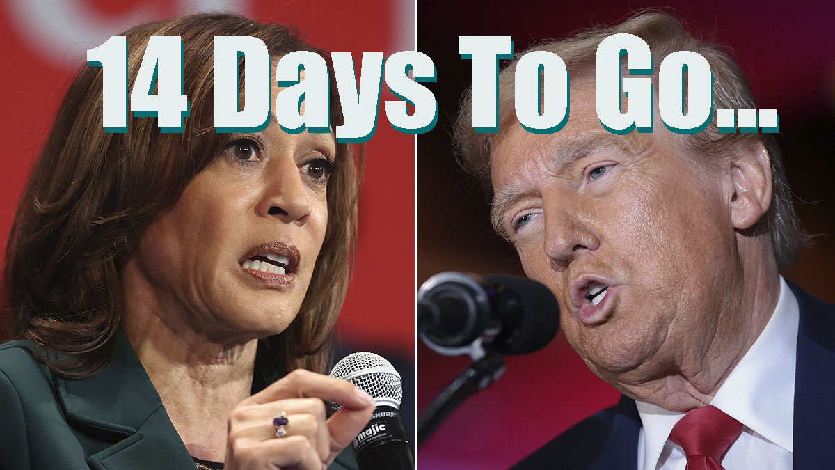 Let's Try To Find An Election Favorite, Two Weeks Out | Bobby Burack ...