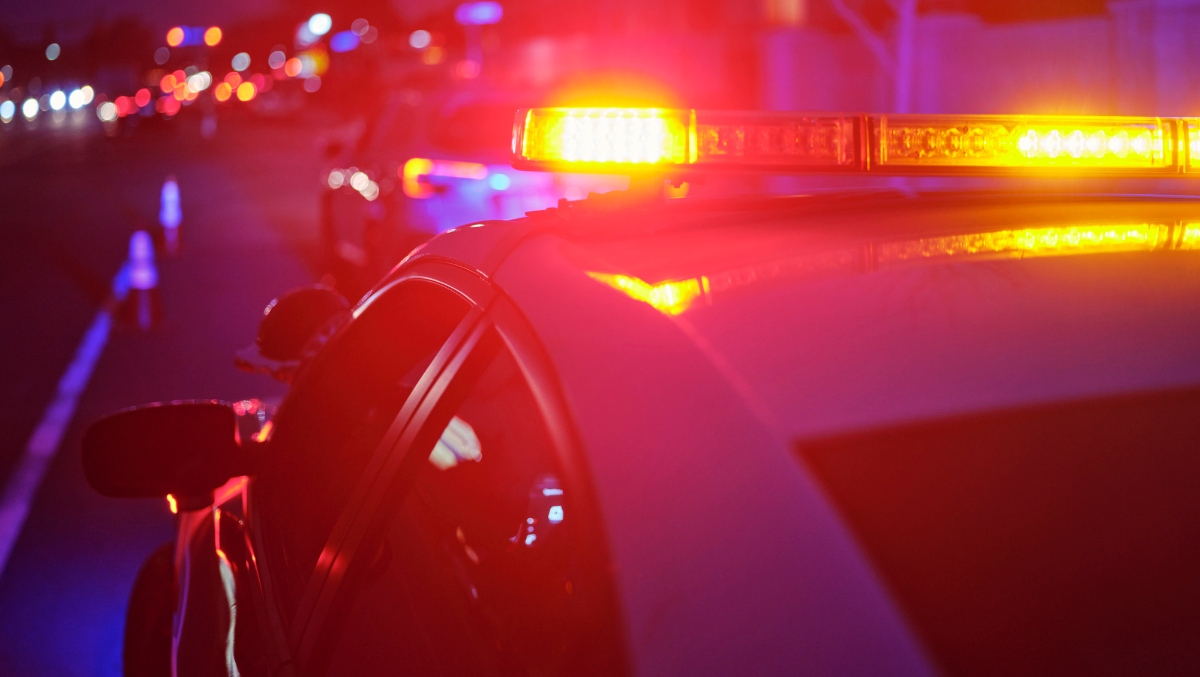 Cook County Official Samantha Steele Berated An Officer About His Penis ...