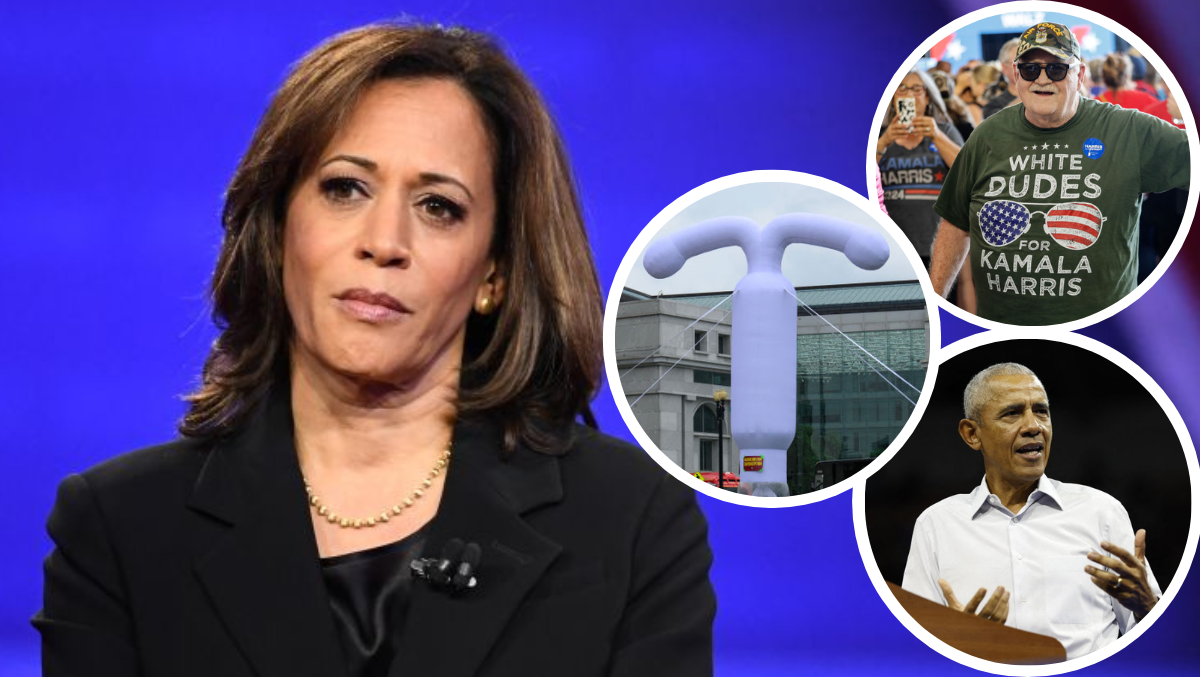 Democrats Sacrificed Themselves On Altar Of Identity Politics | Amber ...