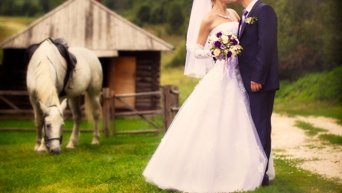 Wedding Video Ruined By A Gassy Horse Who Wouldn’t Stop Farting | OutKick