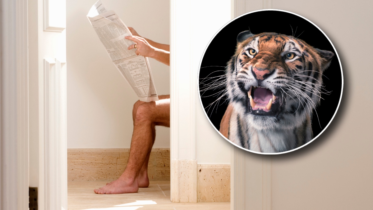 Knock Much?: Wild Tiger Crashes Dude’s Trip To The Bathroom In Viral Video | OutKick