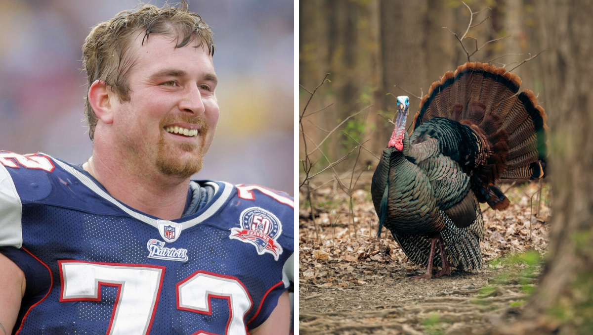 Former Patriots Great Matt Light Used To Hunt Turkeys Behind Gillette ...