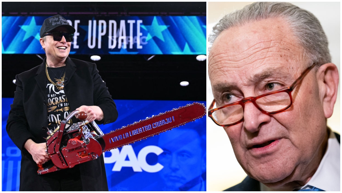 Chuck Schumer, Who Has Never Held A Real Job In His Life, Blasted For ...