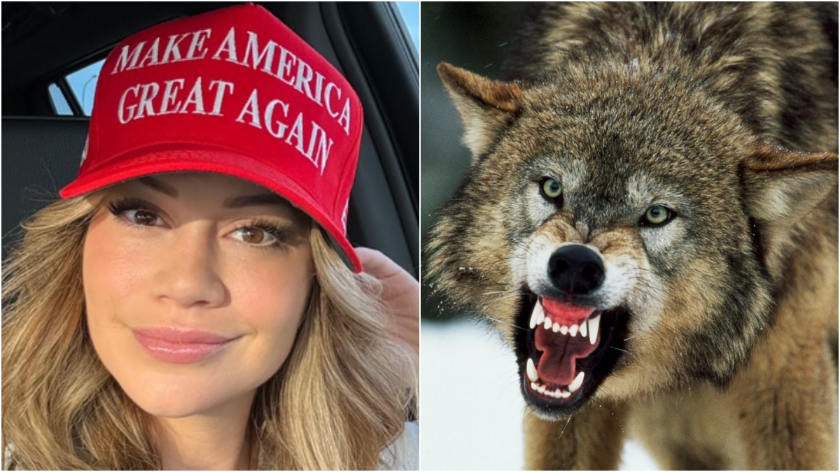 Hunter Surrounded By Wolves, Smokes One With Epic Shot: WATCH | OutKick
