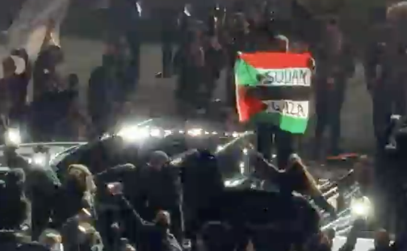 Man Waving Palestinian, Sudanese Flags Removed During Super Bowl ...
