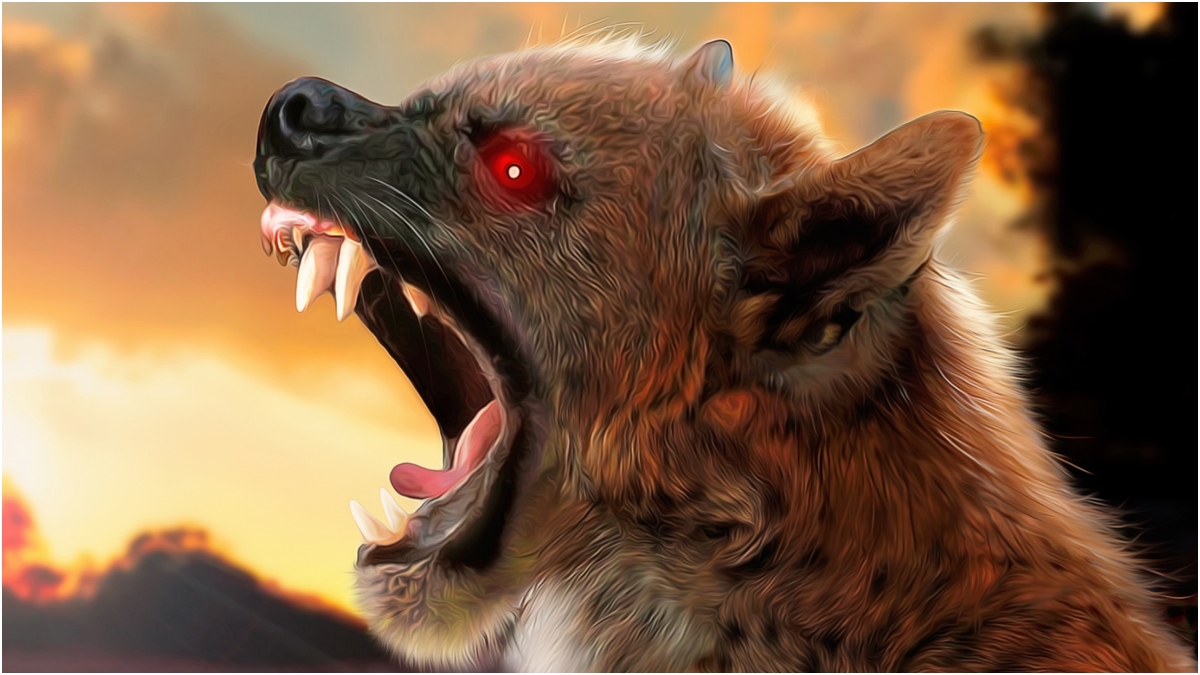 Bizarre Video Captured On Video In Colorado | OutKick