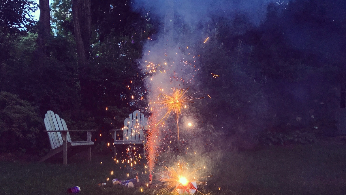 Family 4th Of July Party Turned On Its Head By Some Unexpected X-Rated ...