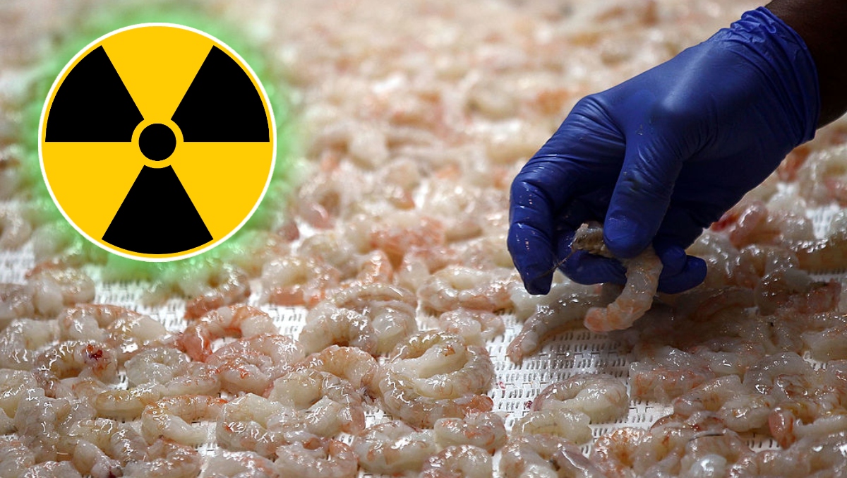 Radioactive Shrimp Recall: FDA Issues Warning on Walmart’s Great Value ...