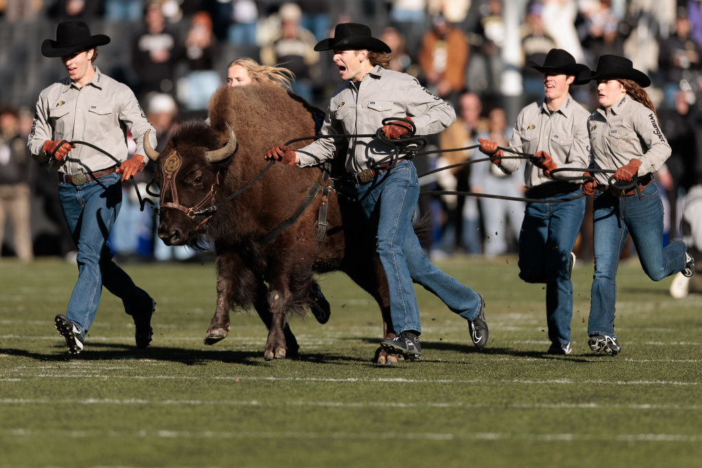 Colorado Buffaloes Debuting Latest Mascot, Ralphie VII | OutKick