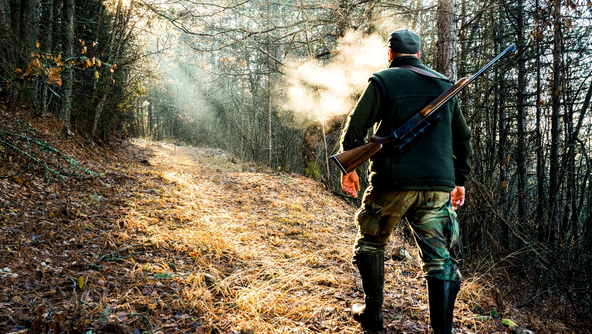 New Bigfoot Sighting in Oregon: Credible Hunter Details Close Call ...