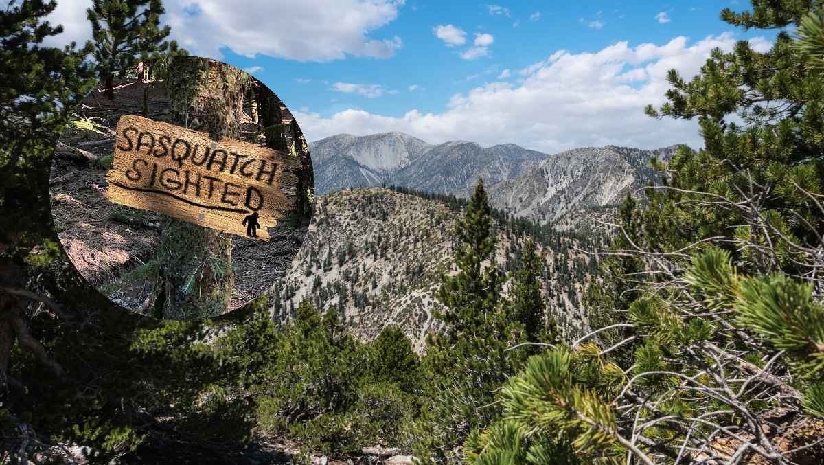 California Mom Reports Possible Bigfoot Encounter During Camping Trip ...